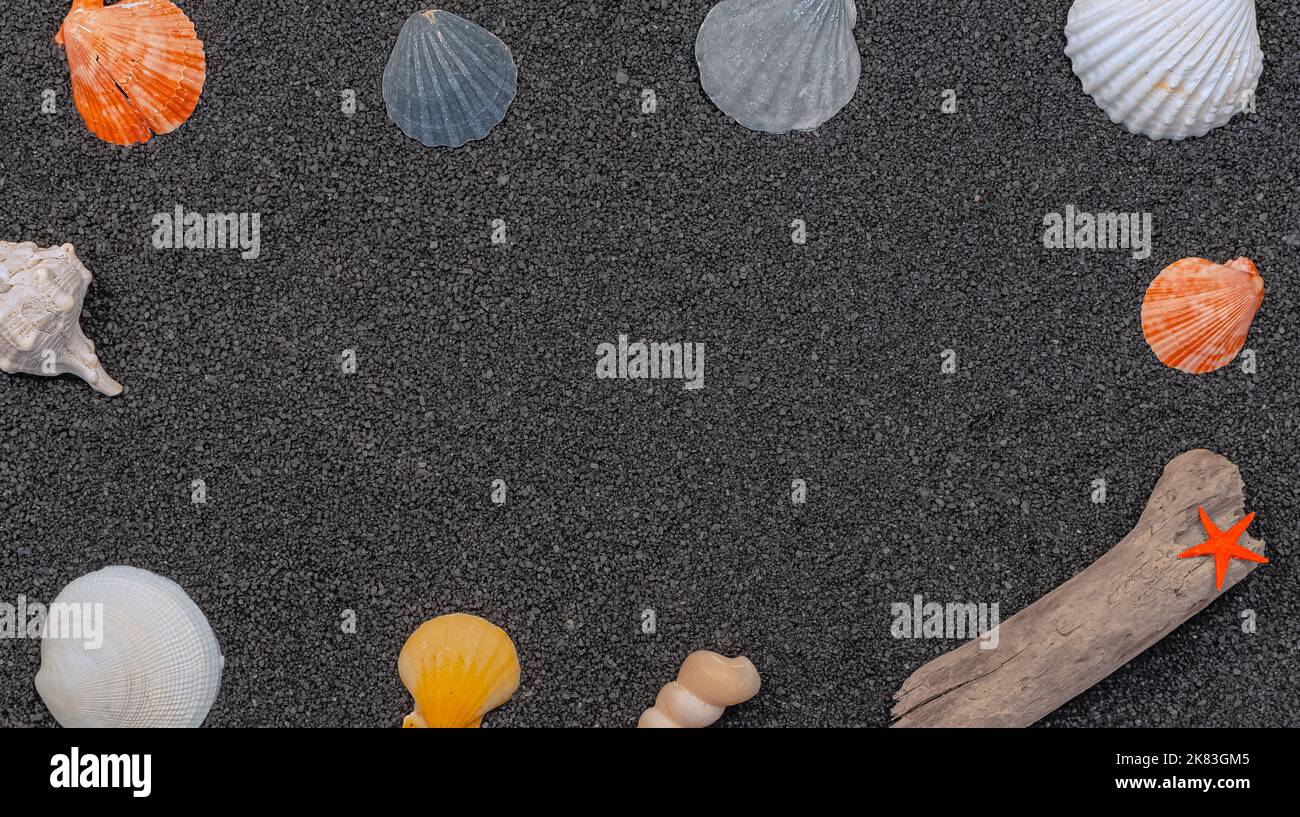 Shells on a black sand background with open space Stock Photo - Alamy
