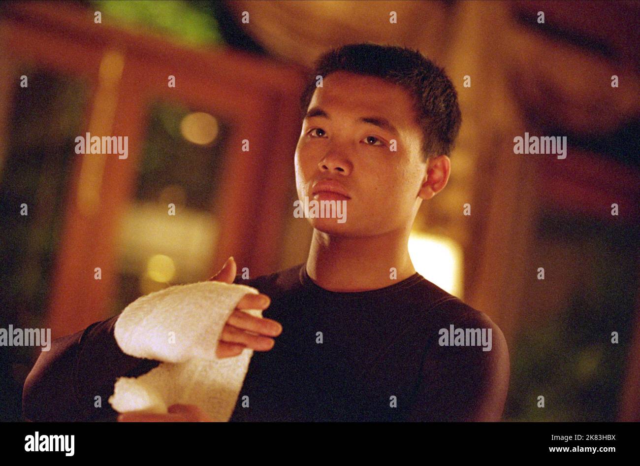 Shaobo Qin Film: Ocean'S Eleven; Ocean'S 11 (USA 2001) Characters: Yen ...