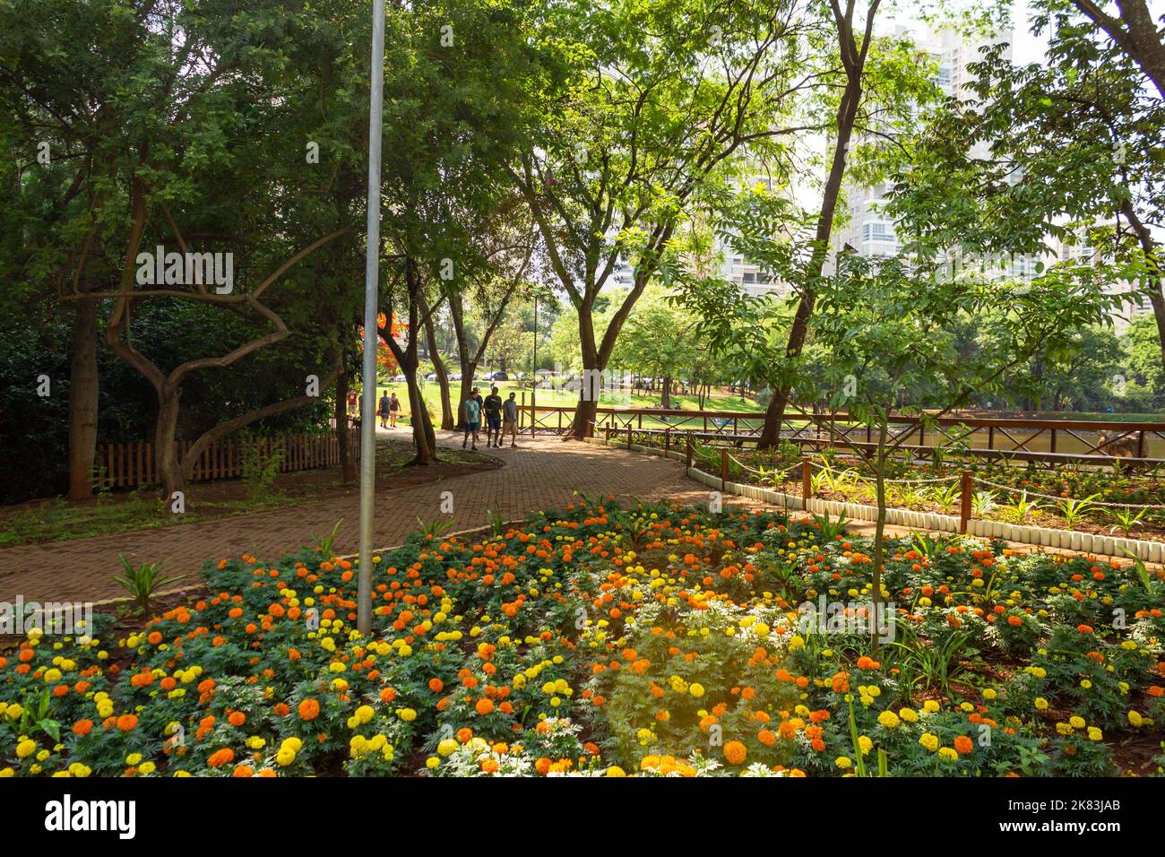 Goiânia, Goias, Brazil – October 18, 2022: An angle of Flamboyant Park ...