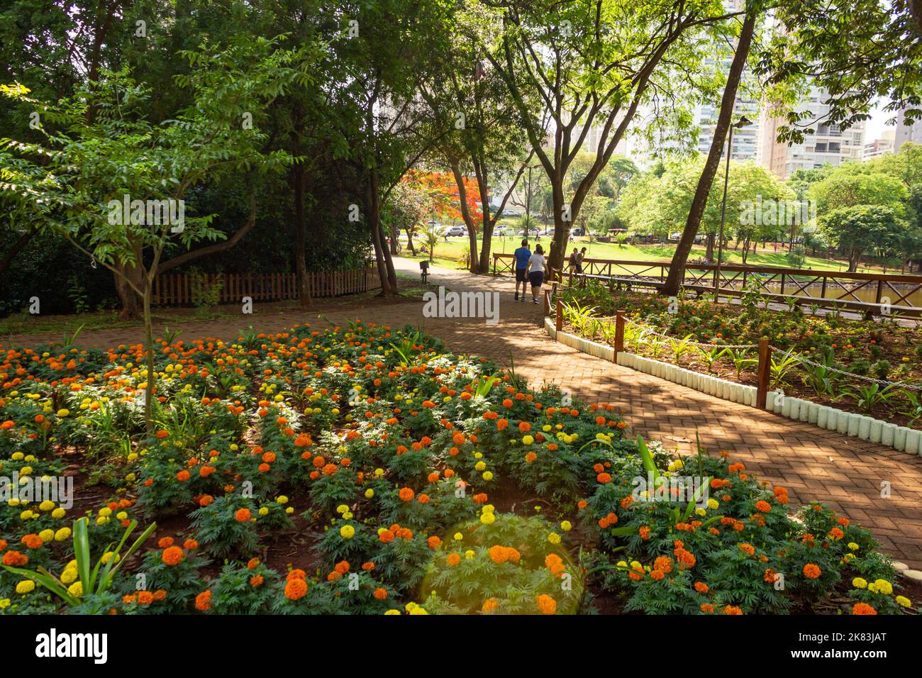Goiânia, Goias, Brazil – October 18, 2022: An angle of Flamboyant Park ...