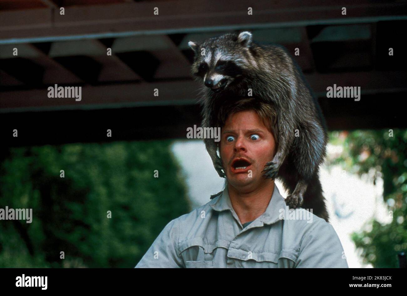 Steve Zahn & Racoon Film: Saving Silverman (2001) Characters: Wayne ...
