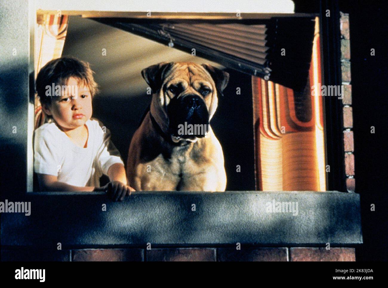 Angus T. Jones & Dog Film: See Spot Run (2001) Characters: James & 01 ...