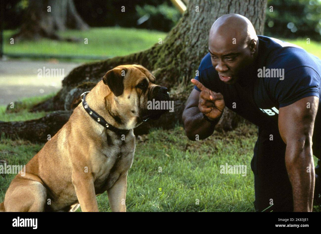 Michael Clarke Duncan & Dog Film: See Spot Run (2001) Characters ...