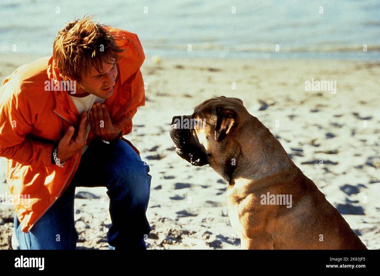 David Arquette & Dog Film: See Spot Run (2001) Characters: Gordon & 01 ...