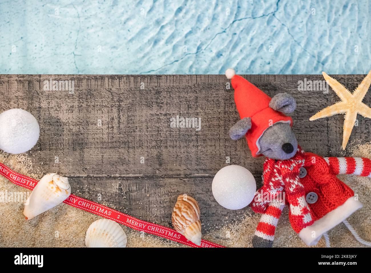 Christmas party concept with shells and starfish by a pool. Winter ...