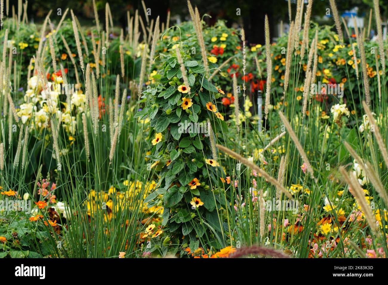 Flower garden background hi-res stock photography and images - Alamy