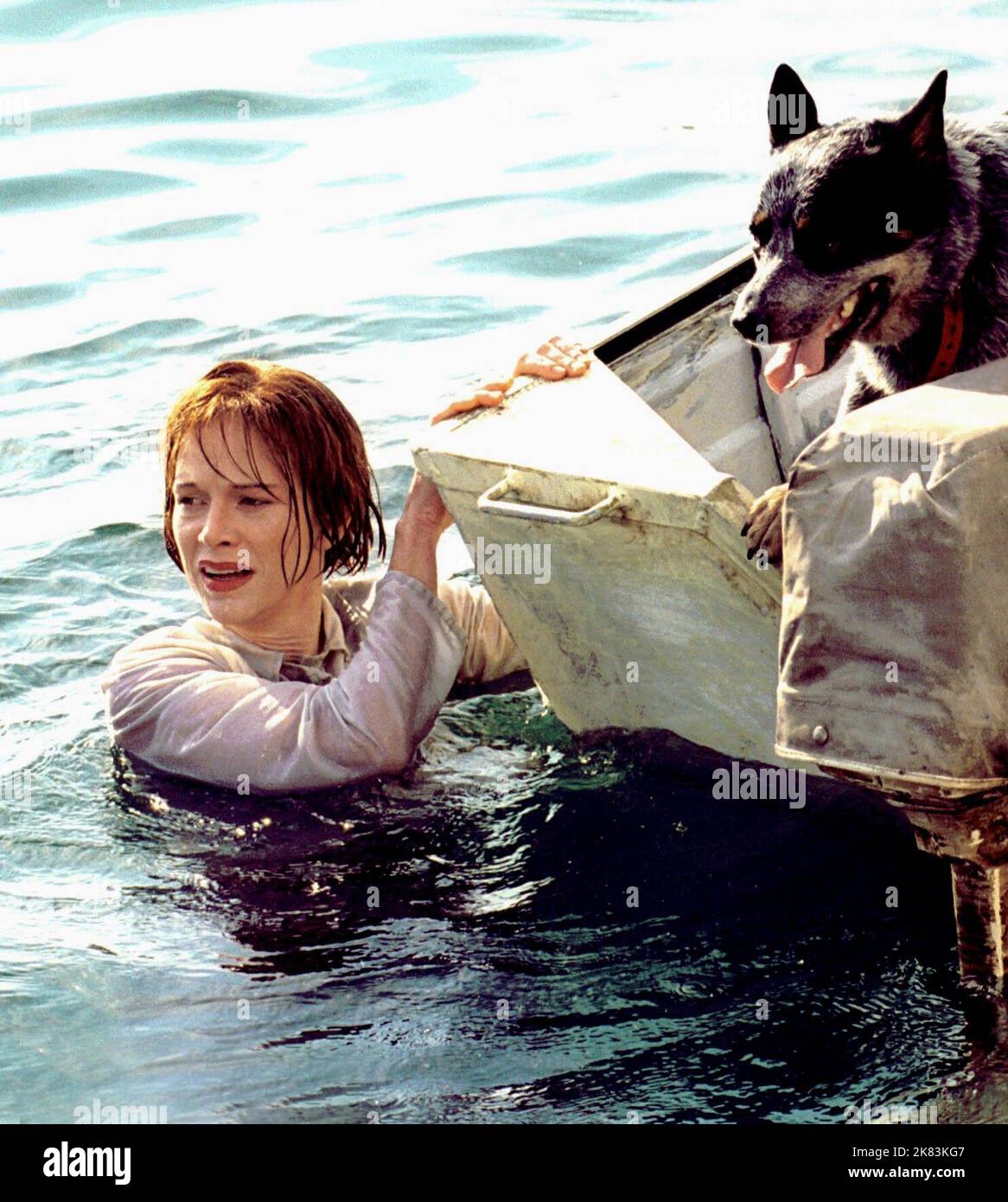 Judy Davis & Dog Film: The Man Who Sued God (2001) Characters: Anna ...