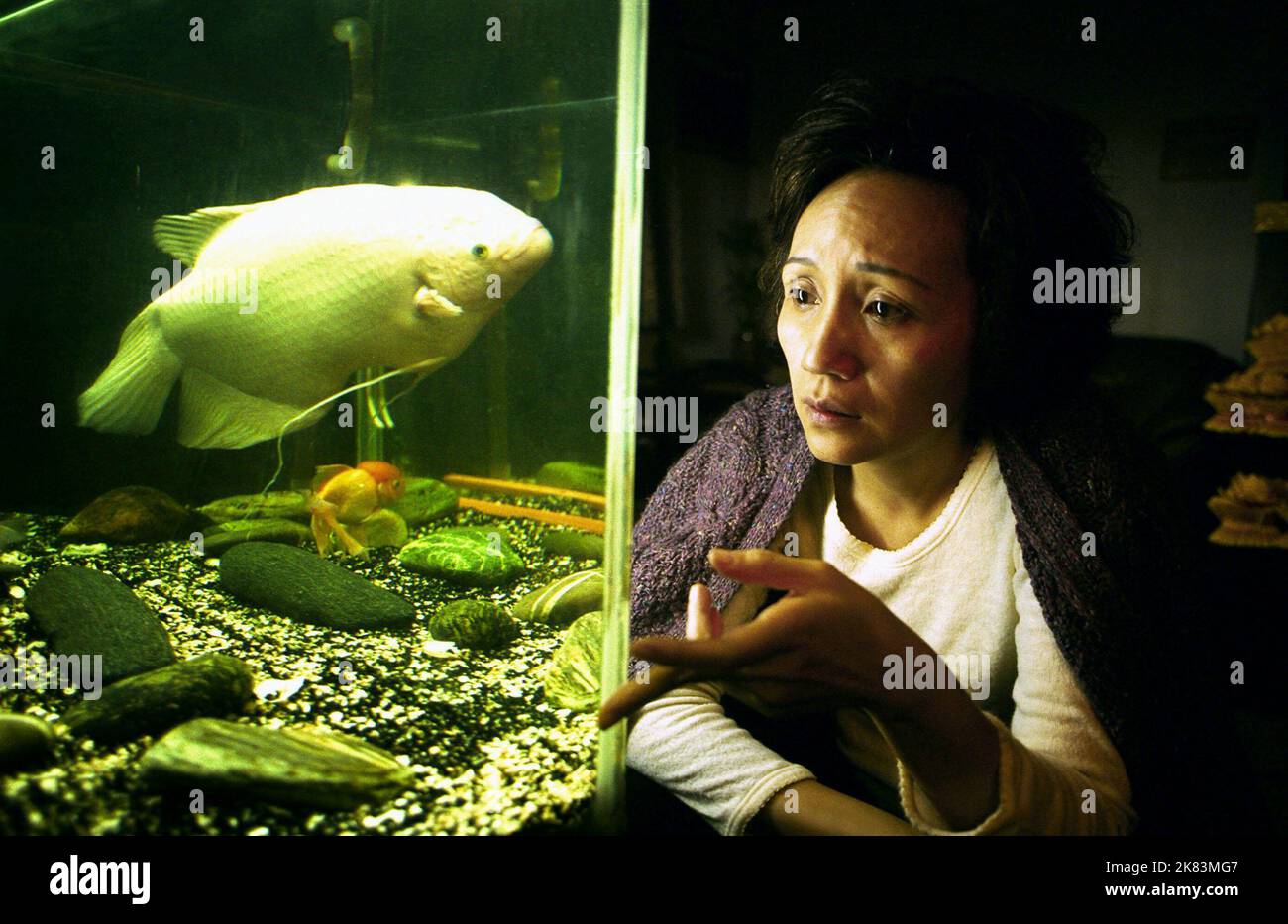 Lu Yi-Ching Film: What Time Is It There? (2001) 15 May 2001 **WARNING ...