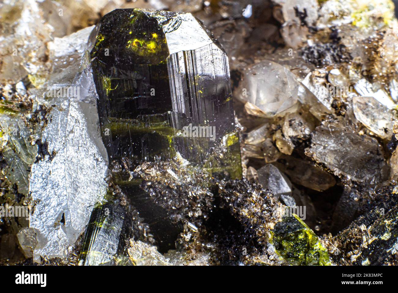 Ultra macro picture of small quartz points with one dark green epidote ...