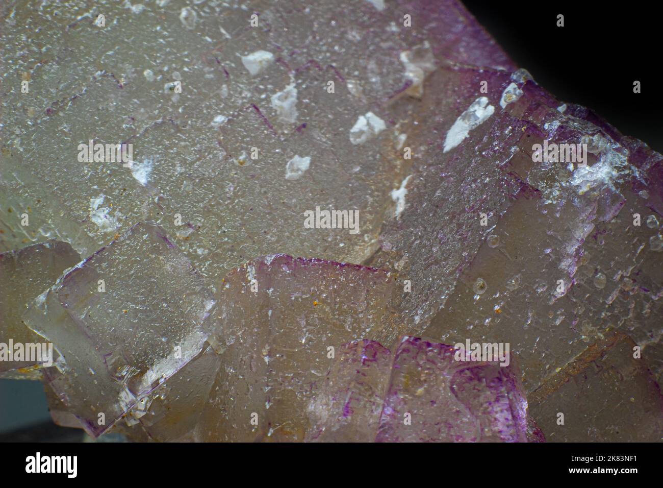 Macro purple cubical fluorite crystal cluster isolated on black ...