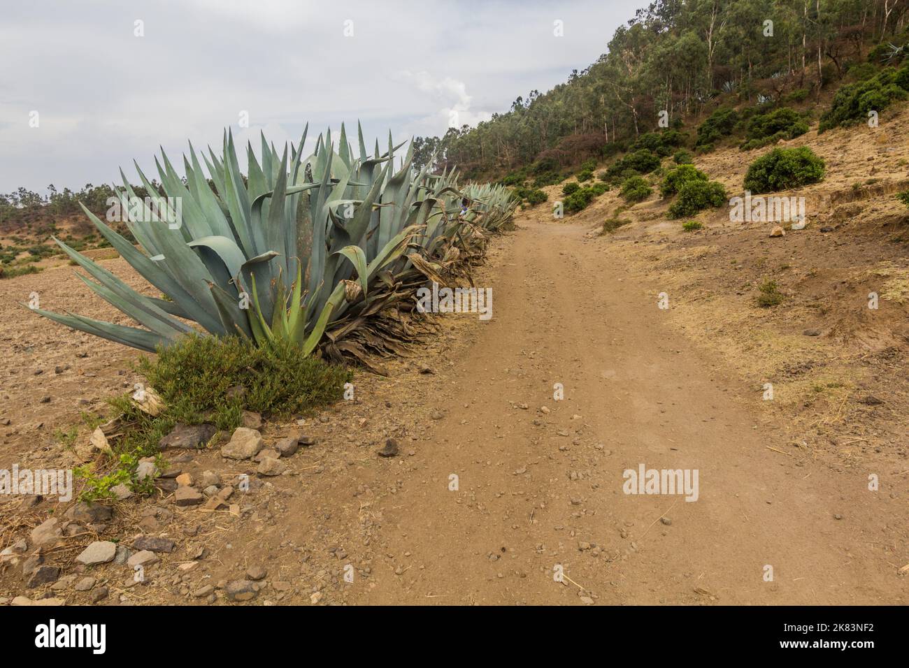Rural road near Axum, Ethiopia Stock Photo - Alamy