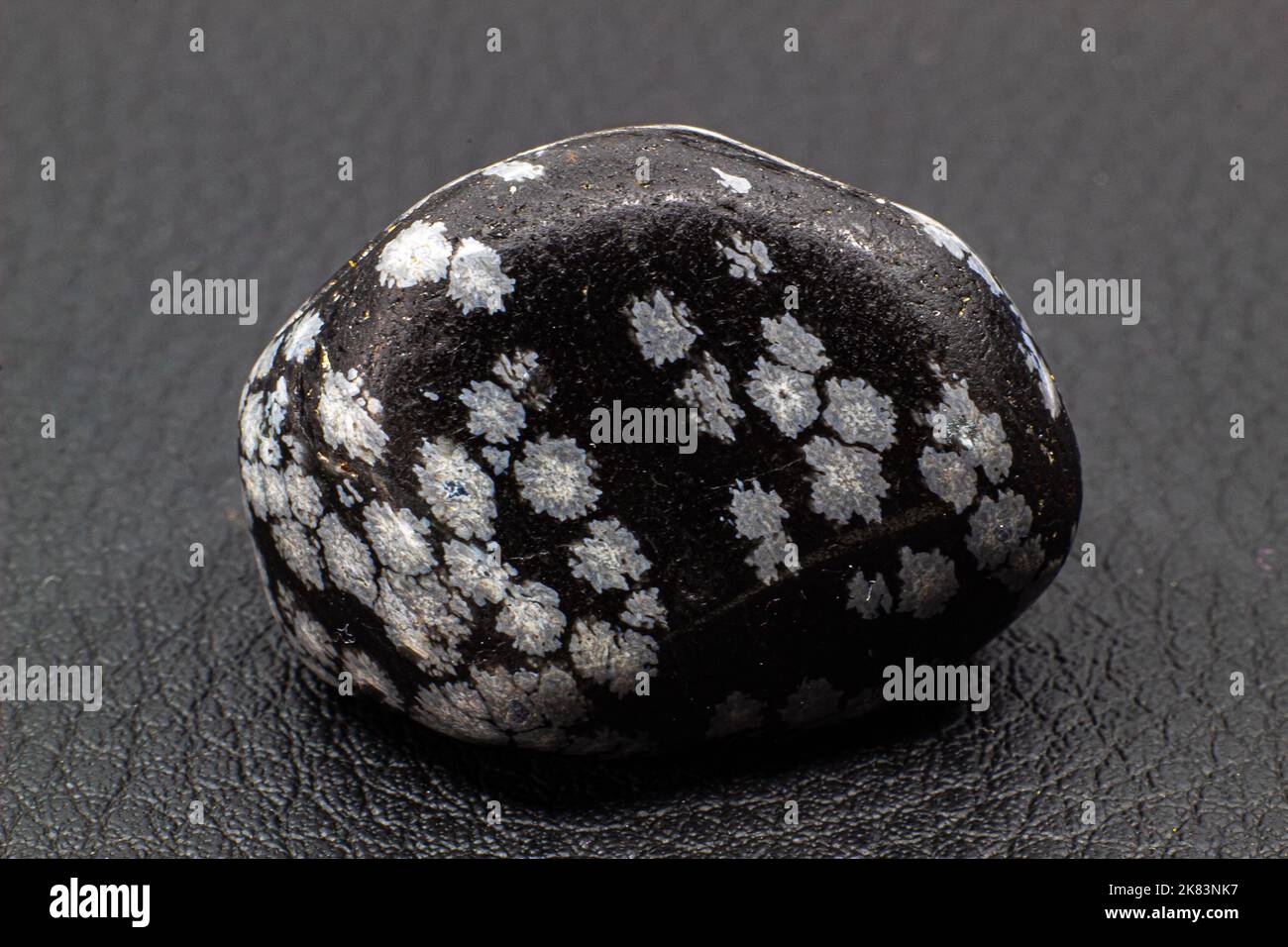 Flowering obsidian hi-res stock photography and images - Alamy