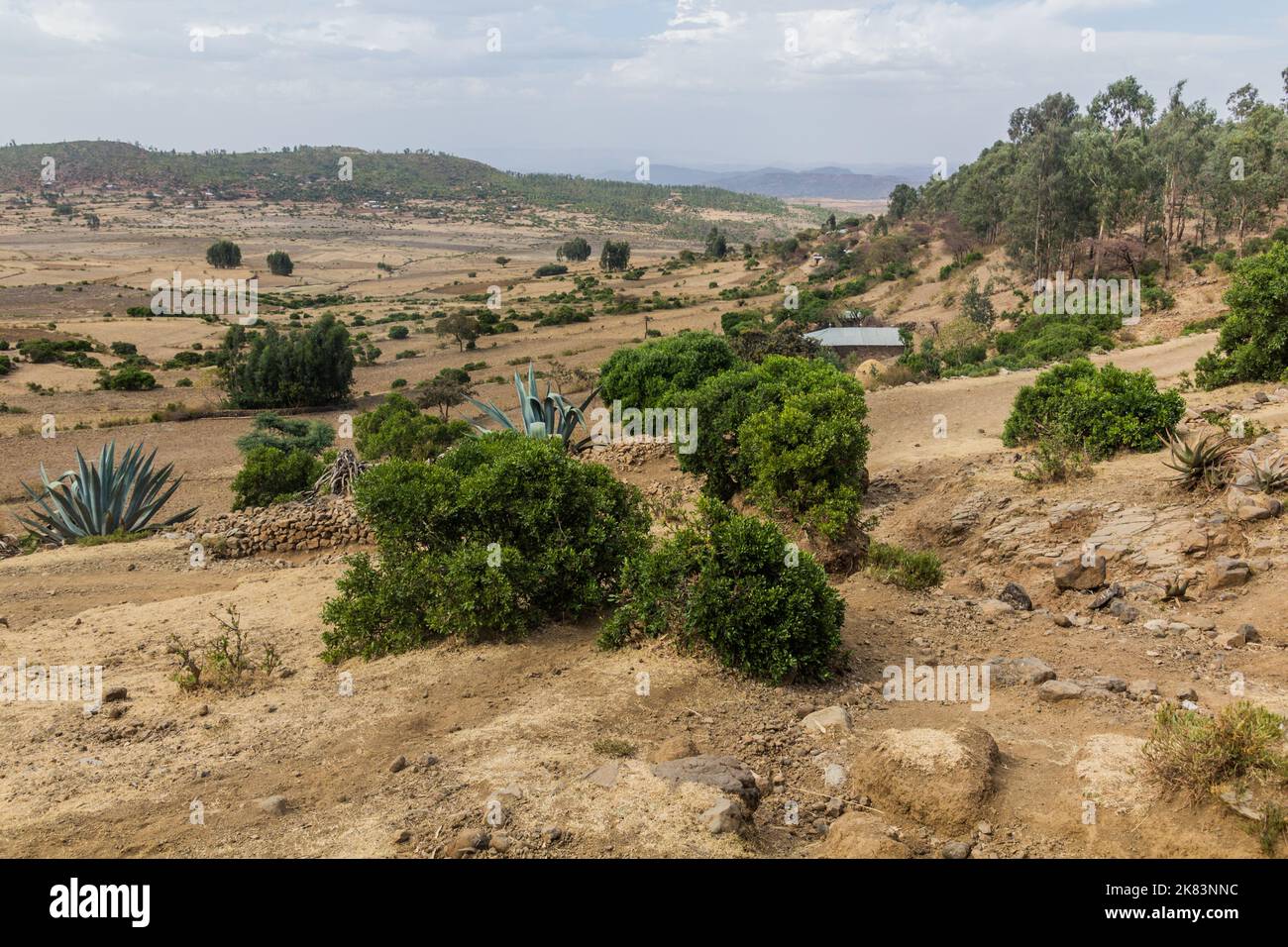 Rural landscape near Axum, Ethiopia Stock Photo - Alamy