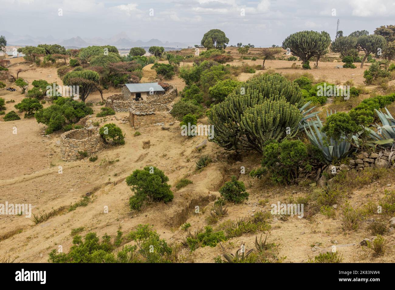 Rural landscape near Axum, Ethiopia Stock Photo - Alamy