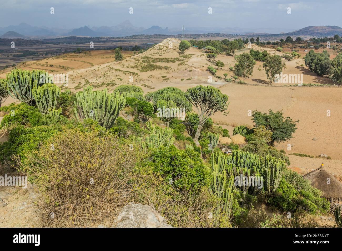 Rural landscape near Axum, Ethiopia Stock Photo - Alamy