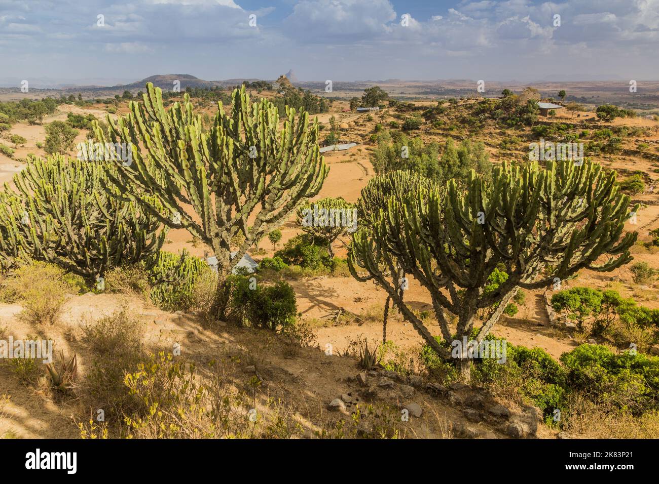 Rural landscape near Axum, Ethiopia Stock Photo - Alamy