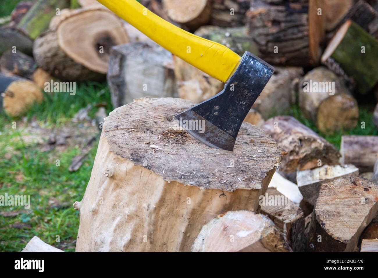 An ax and a stump while chopping firewood on a clear day Stock Photo ...