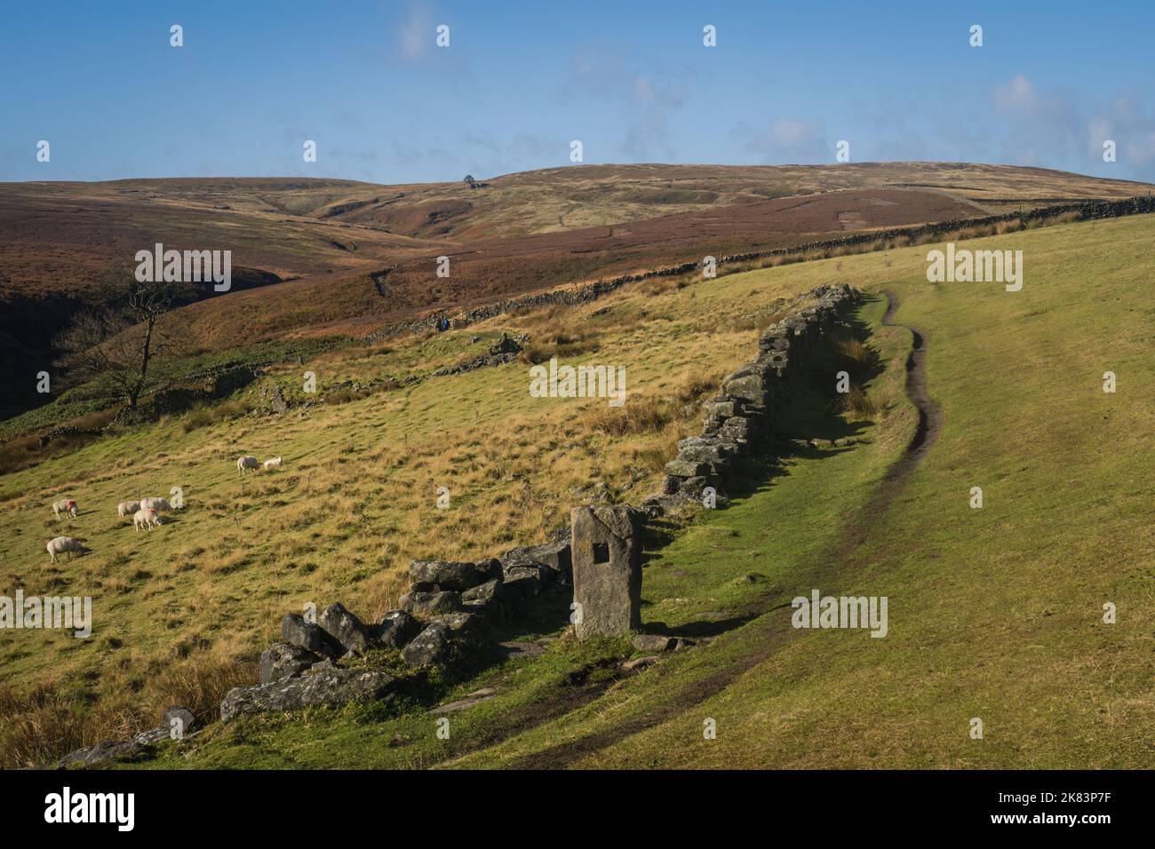 Footpath to the Bronte Falls and Wutherung Heights Stock Photo - Alamy
