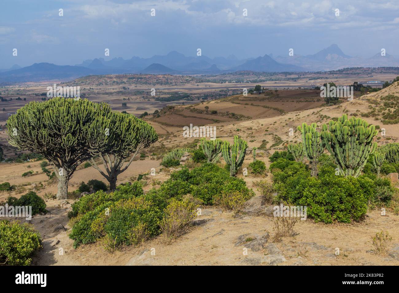 Rural landscape near Axum, Ethiopia Stock Photo - Alamy