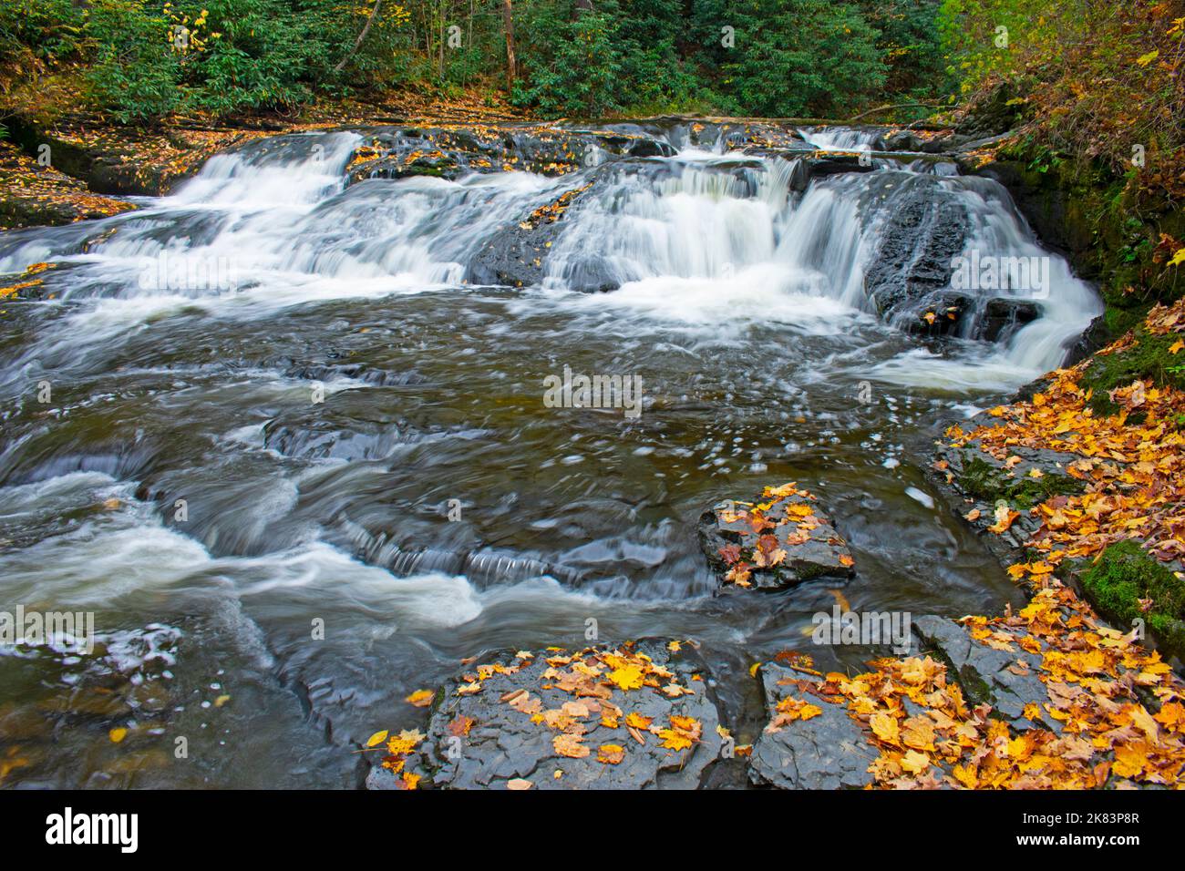 Small waterfall at Dingmans Creek in the vicinity of Dingman's Falls in ...
