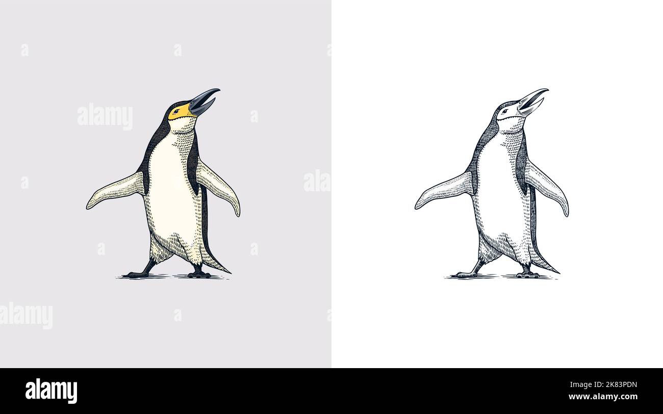 Chinstrap penguin. Adelie Gentoo bird. Vector graphics black and white ...