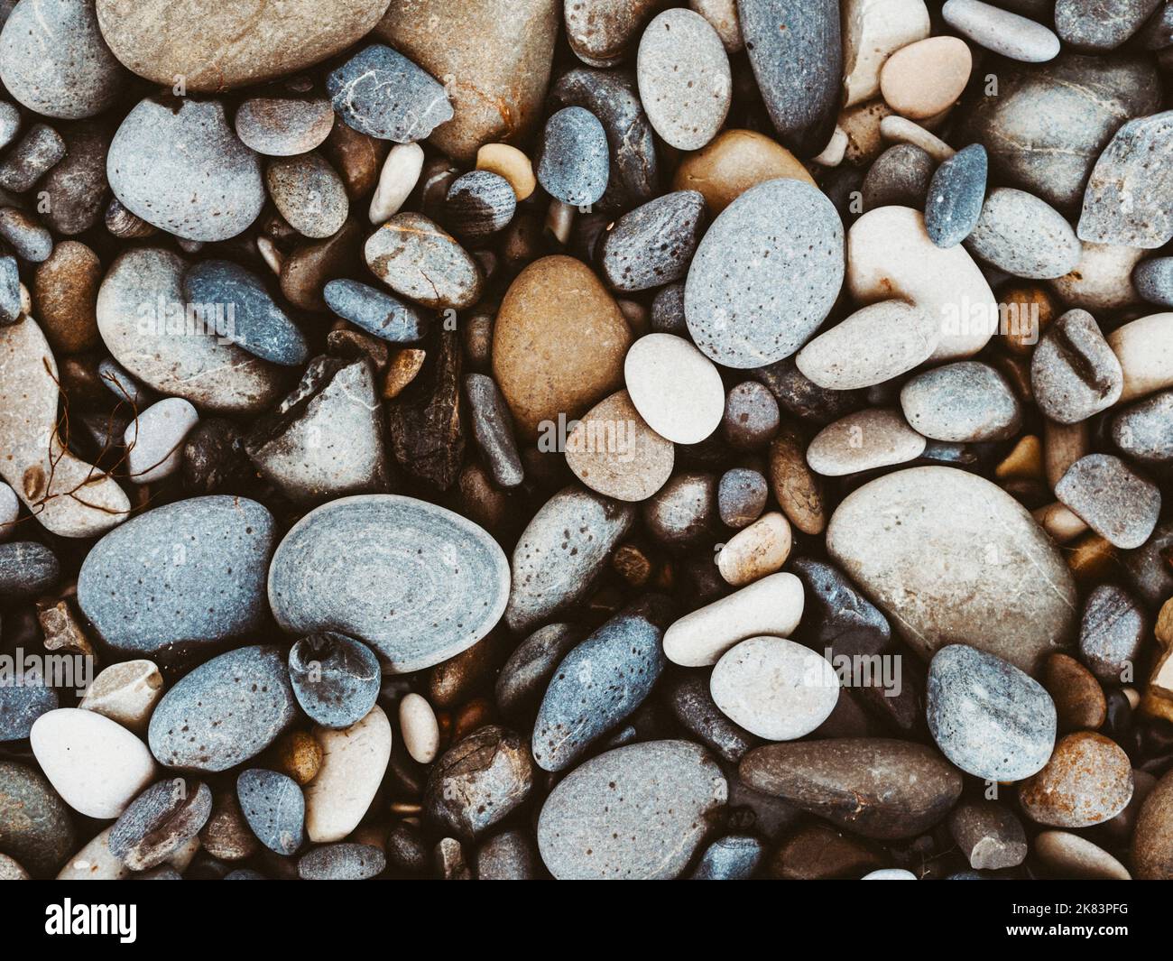 Grey pale white color background hi-res stock photography and images ...