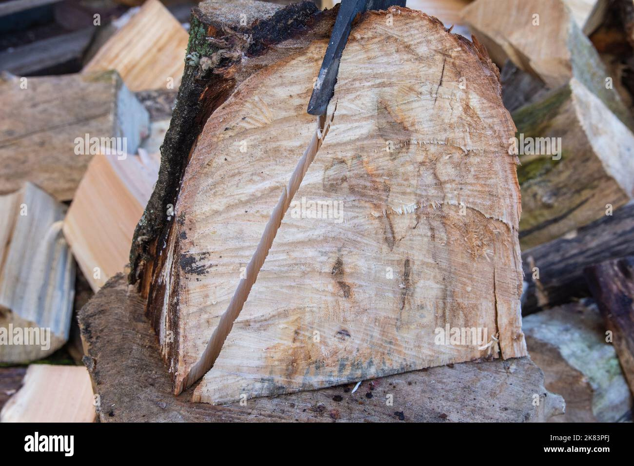 Chop tree ax hi-res stock photography and images - Alamy