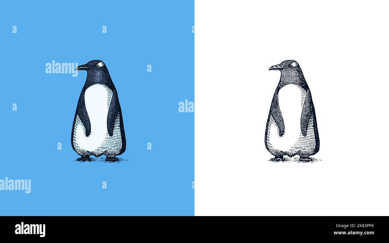 Penguin Books Logo Vector