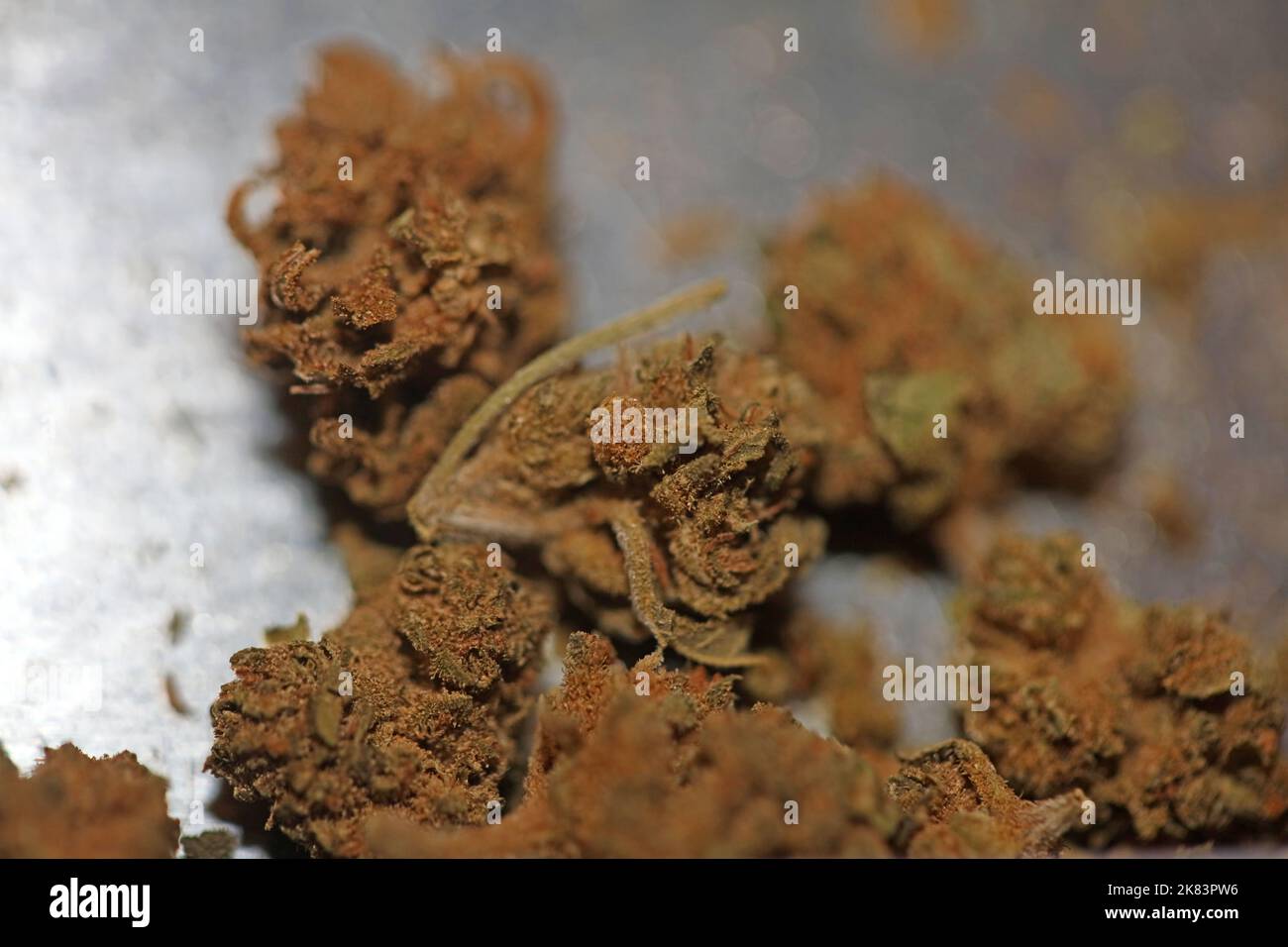 Marihuana medical bad cbd close up botanical background big size high ...