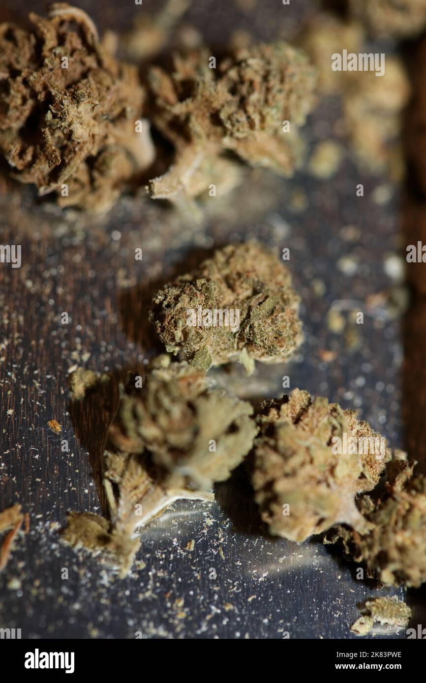 Marihuana medical bad cbd close up botanical background big size high ...