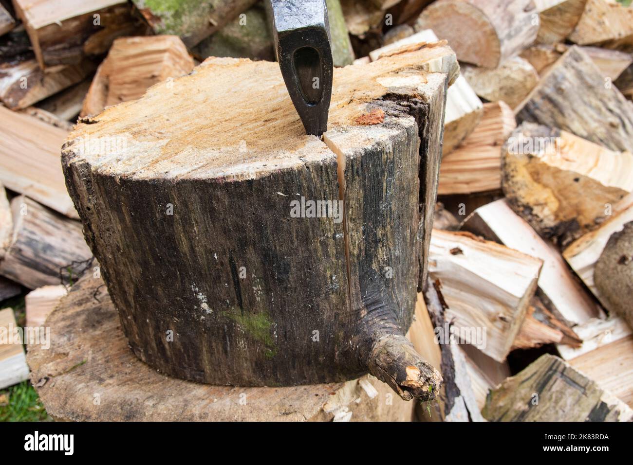 An ax and a stump while chopping firewood on a clear day Stock Photo ...