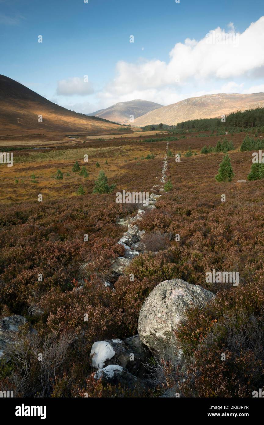 The wild Scottish Highland, the Cairngorms boats hiking, walking trails ...