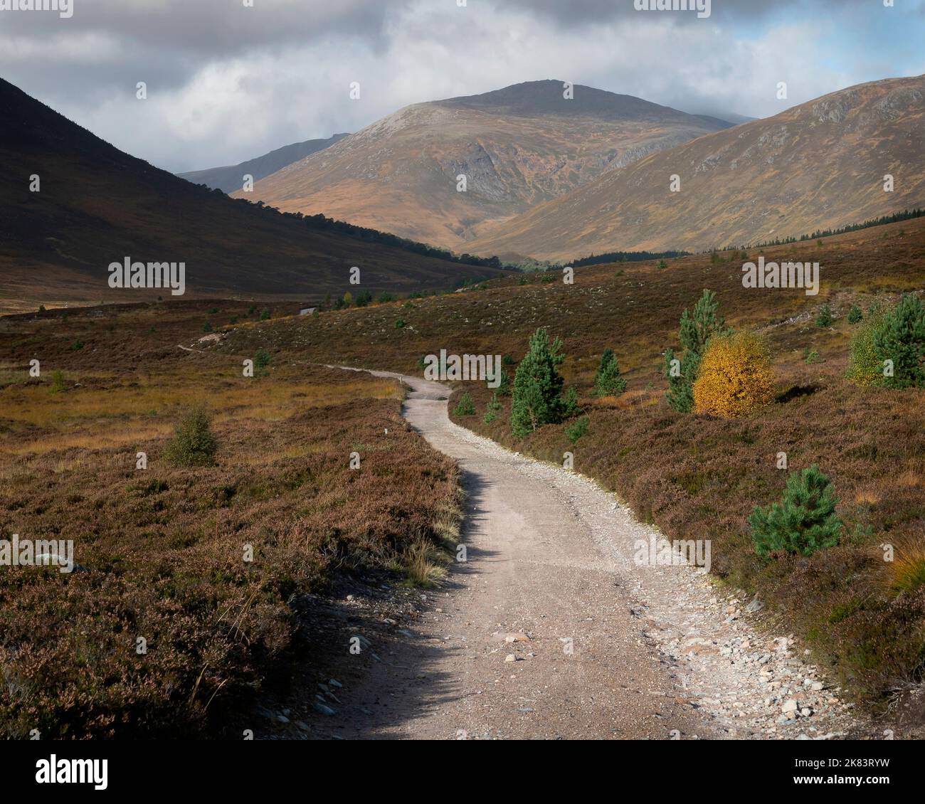 The wild Scottish Highland, the Cairngorms boats hiking, walking trails ...