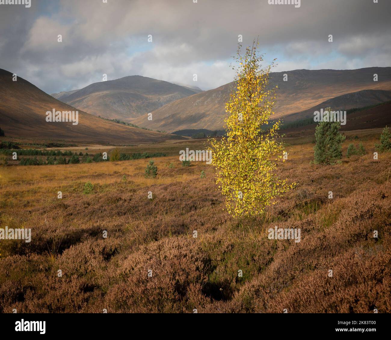 The wild Scottish Highland, the Cairngorms boats hiking, walking trails ...