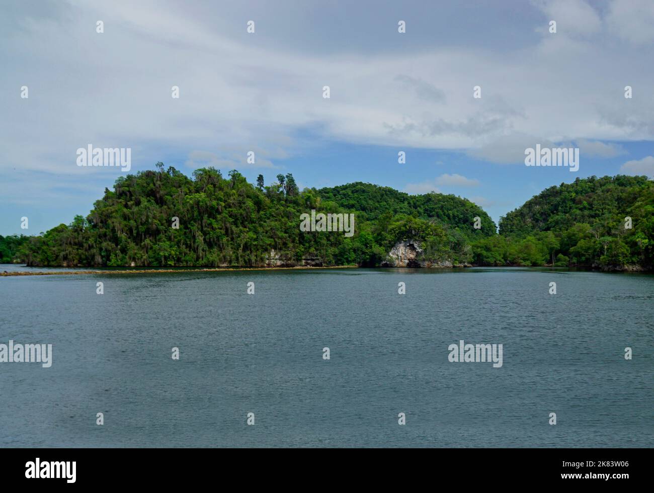 green bird island in the los haitises national park in the dominican ...