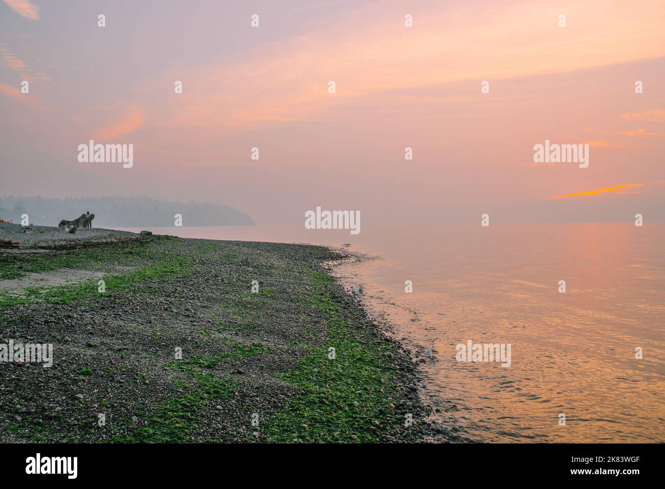 pink smoky sunset on rocky Carkeek Park beach in Seattle with low tide ...