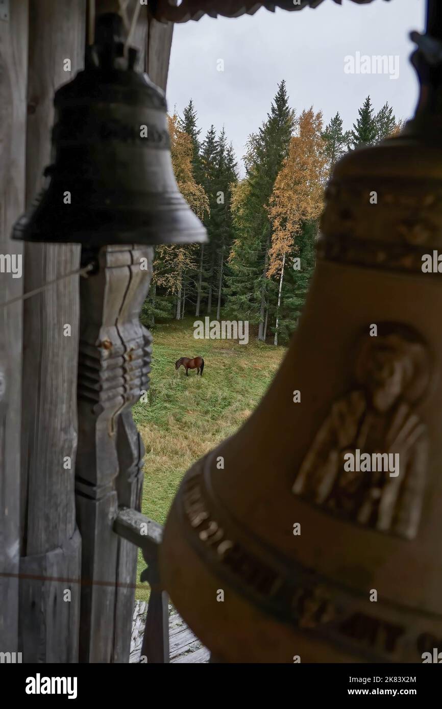 October 6, 2022, Ilyinsky churchyard, Karelia, Russia: The horse walks ...