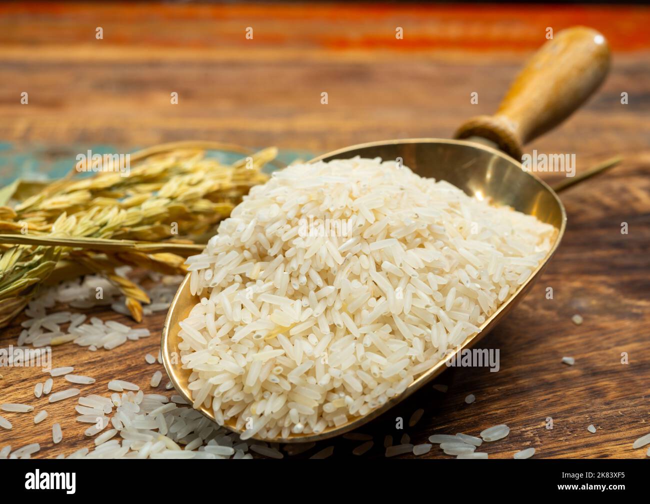 Organic white uncooked rice and dried Indian basmati rice plant ...