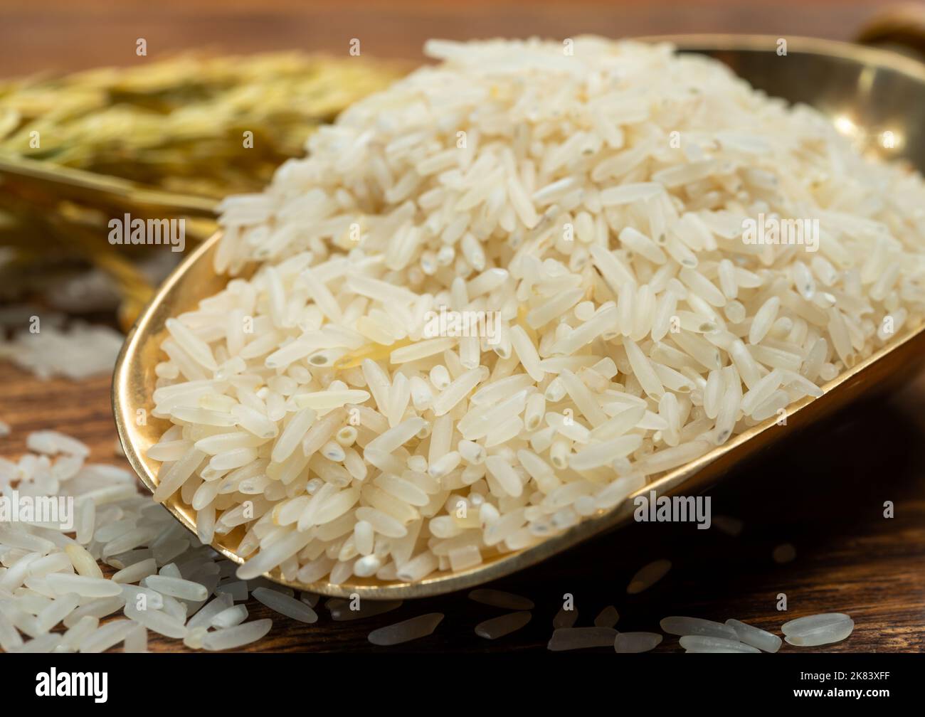 Organic white uncooked rice and dried Indian basmati rice plant ...