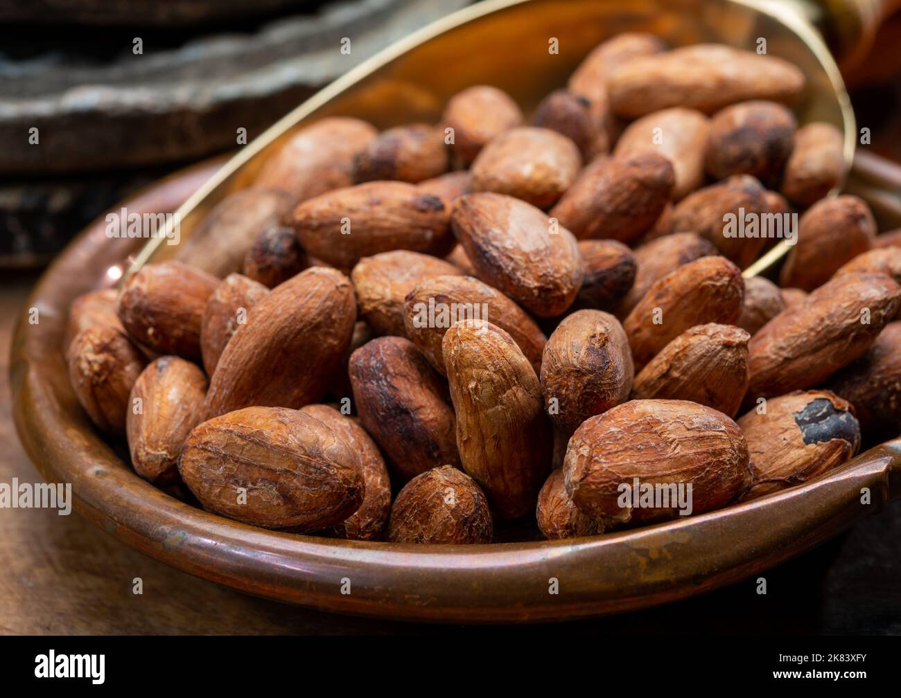 Cocoa or cacao beans, used in hot chocolate drink, chocolate, butter ...