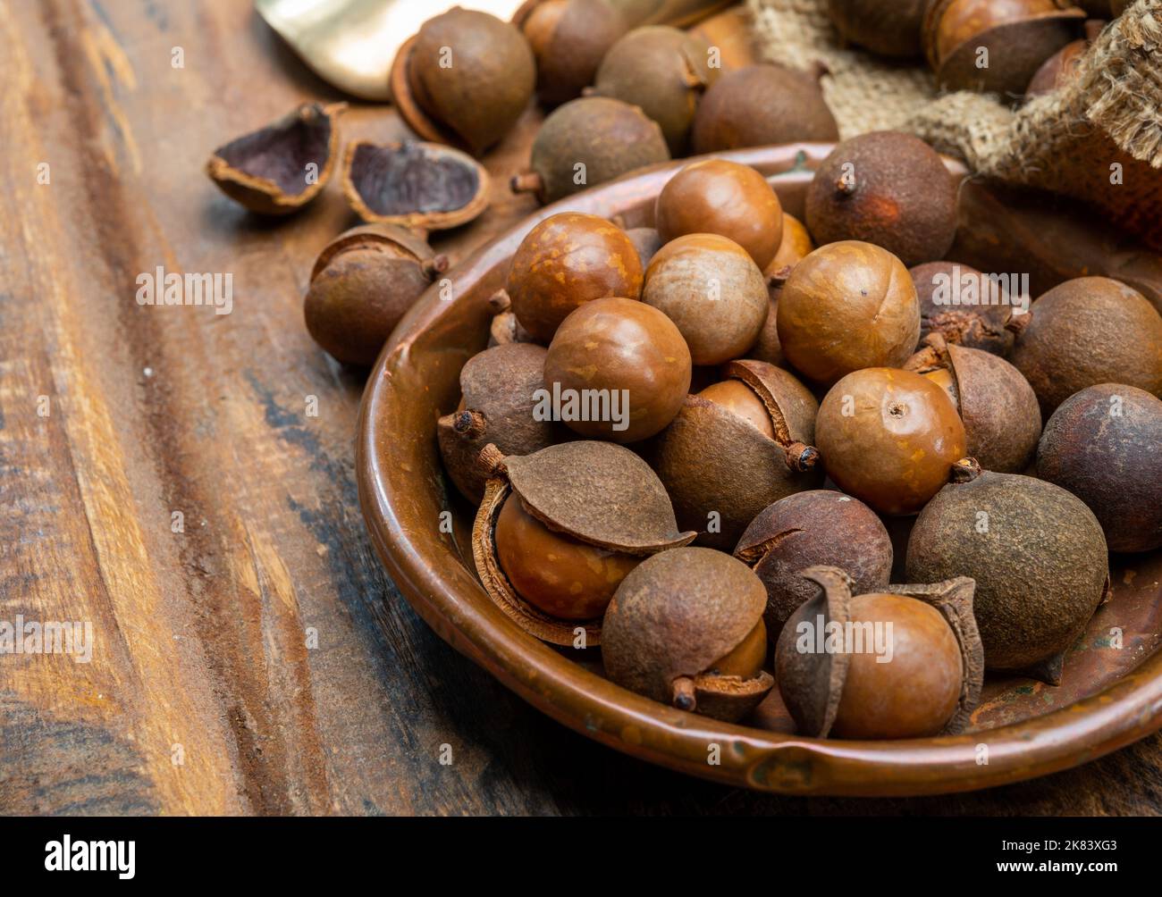 New harvest of ripe fresh Australian macadamia nuts in shell with ...