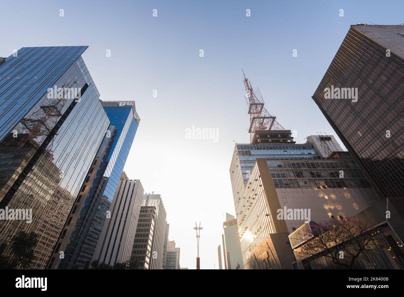 Modern Architecture Office Buildings in Paulista Avenue in Sao Paulo ...