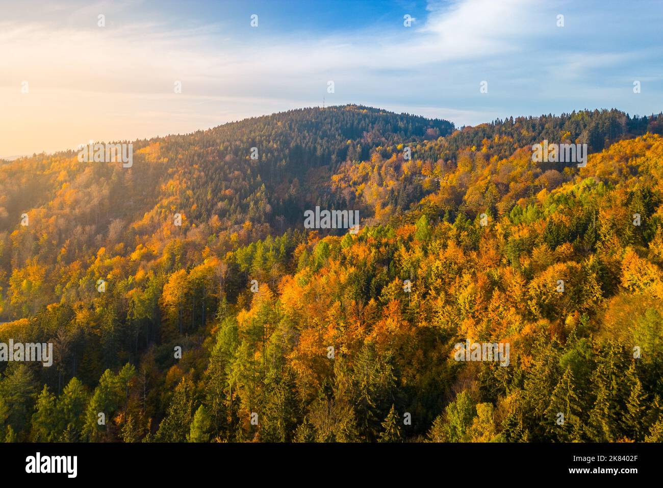 Colourful autumn forest of Jizera Mountains from above Stock Photo - Alamy