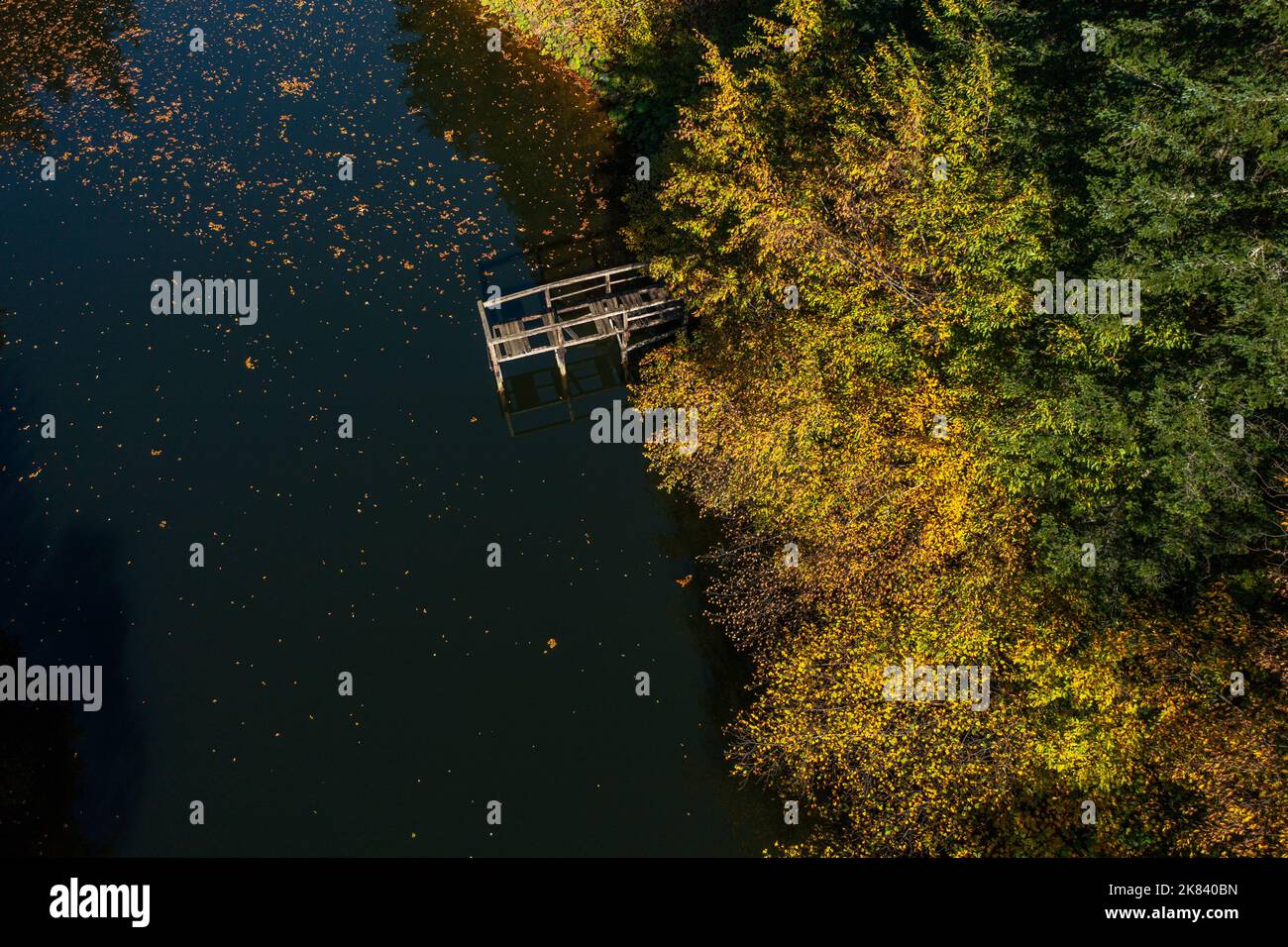 Old wooden mole bridge on the lake surrounded with trees in autumn ...