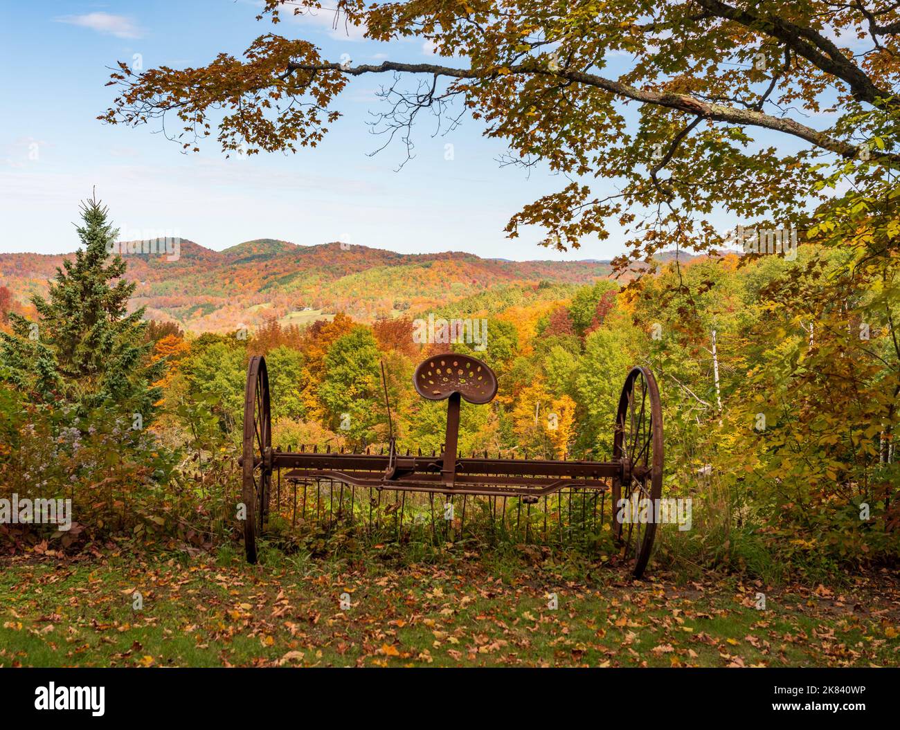 Orange colors in nature hi-res stock photography and images - Alamy