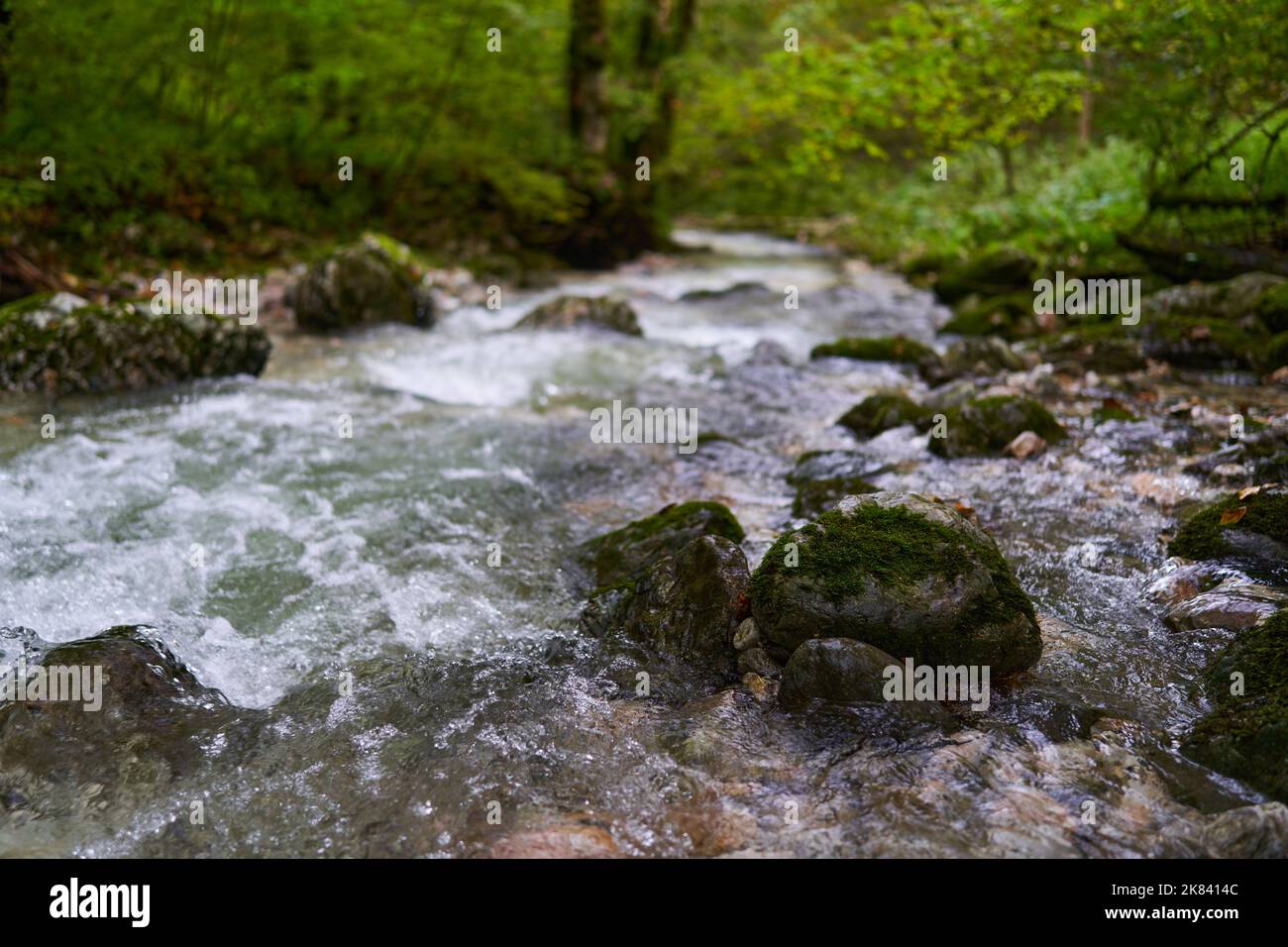 River flowing in an enchanted forest with moss covered boulders Stock ...