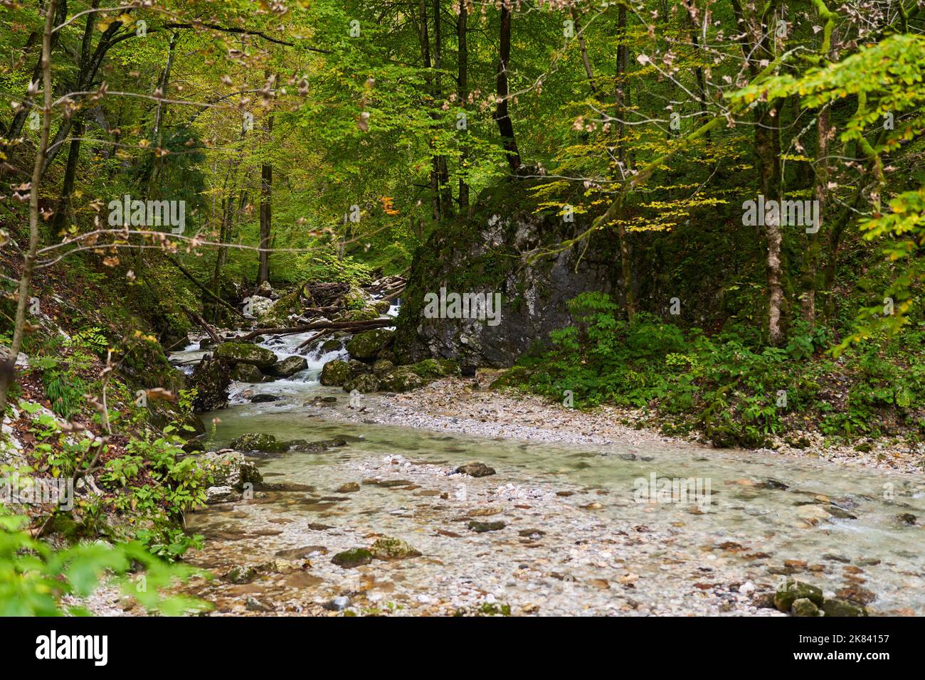River flowing in an enchanted forest with moss covered boulders Stock ...