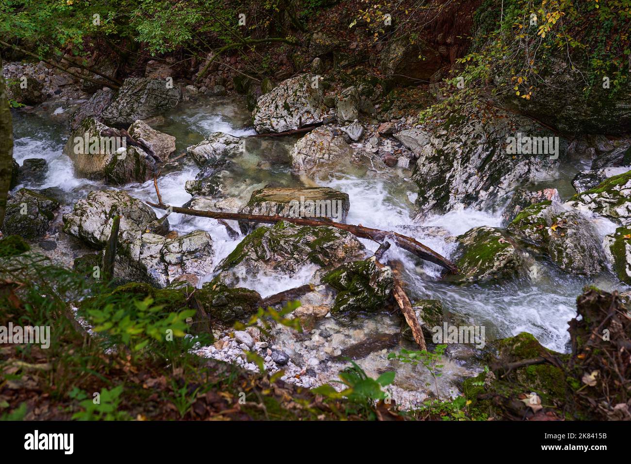 River flowing in an enchanted forest with moss covered boulders Stock ...
