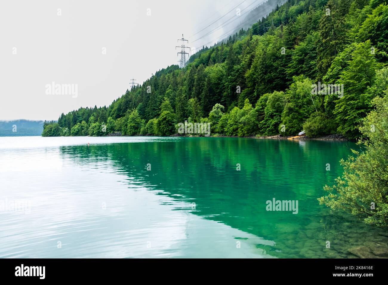 a body of water surrounded by trees Stock Photo - Alamy