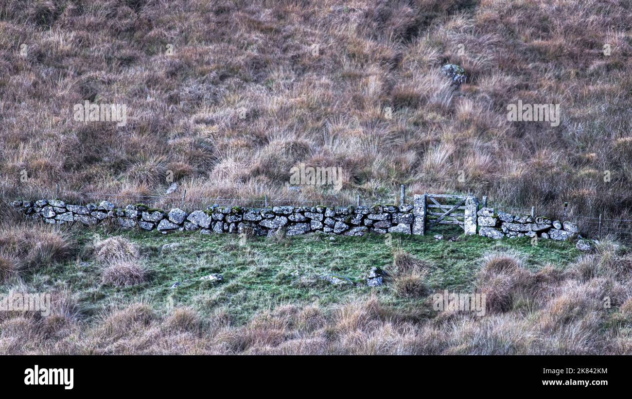 Drystone wall and gate, Dartrmoor National Park, Devon, England, UK ...